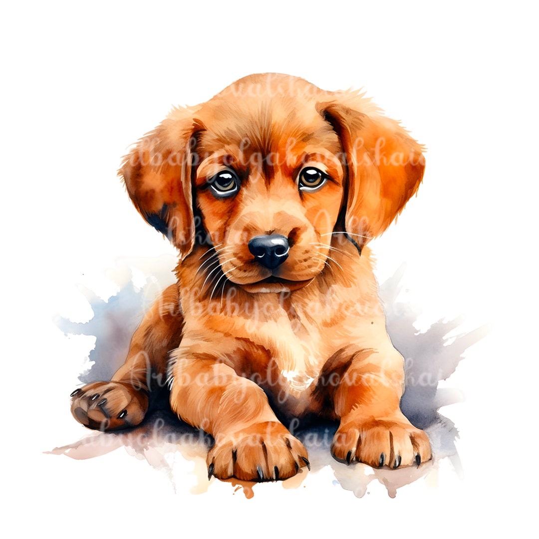 Dog PNG, Watercolor Cute Puppy Clipart, Digital Download - Etsy