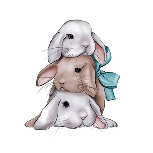 Bunny Clipart, Cute Bunny PNG, Rabbits, Digital Download - Etsy