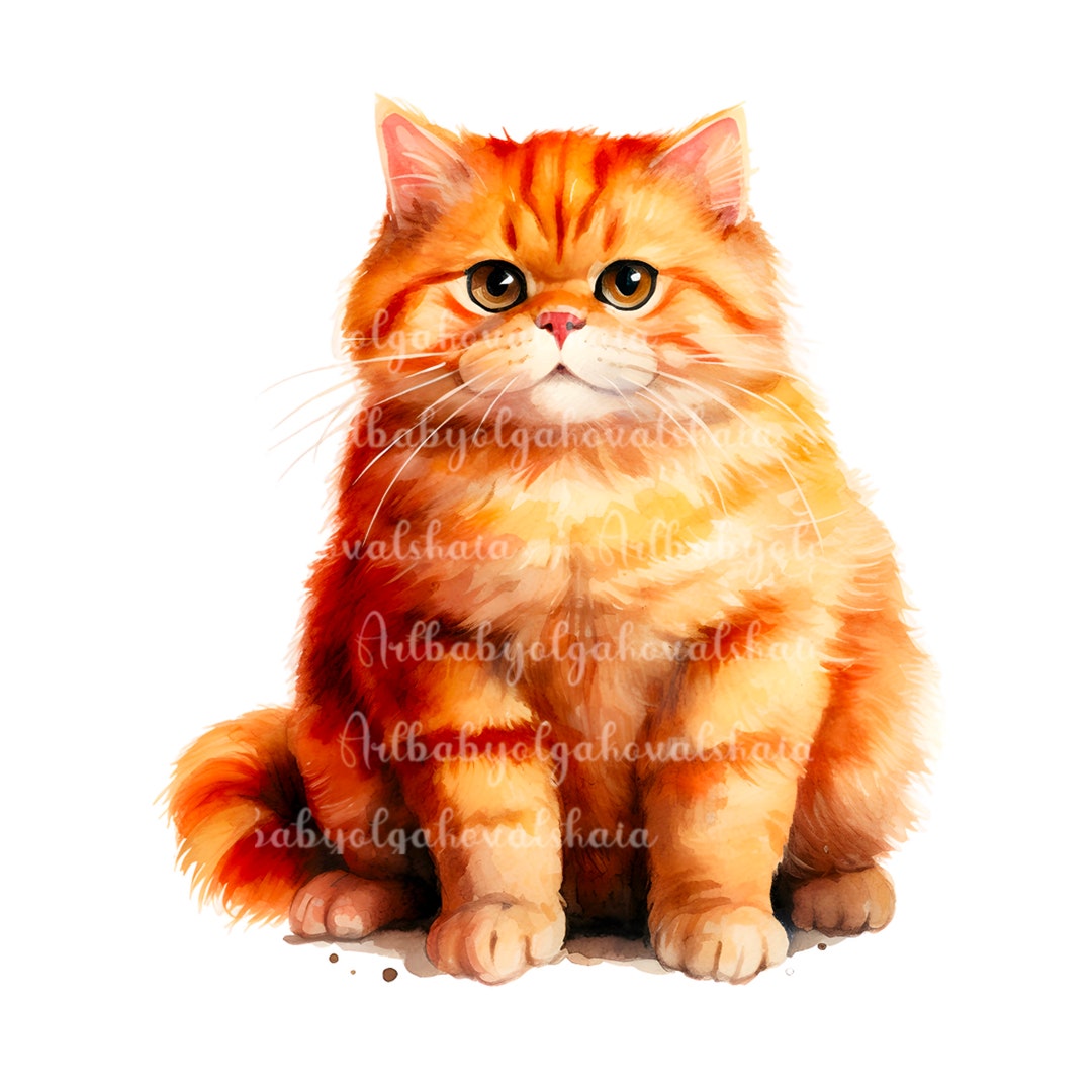 Watercolor Red Cat PNG, Cute Cat Clipart, Digital Download - Etsy