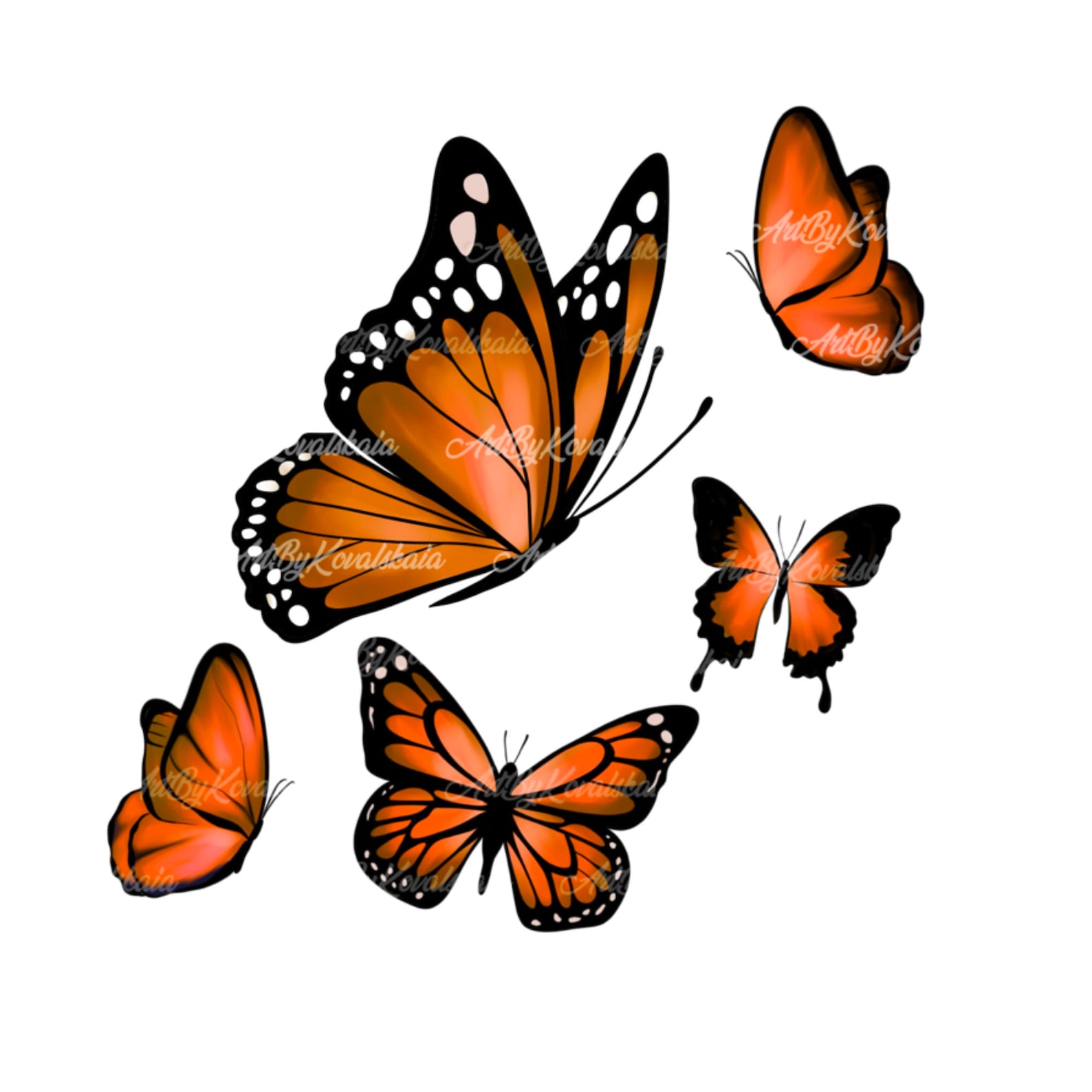 Butterfly PNG, Butterflies Clipart, Digital Download - Etsy