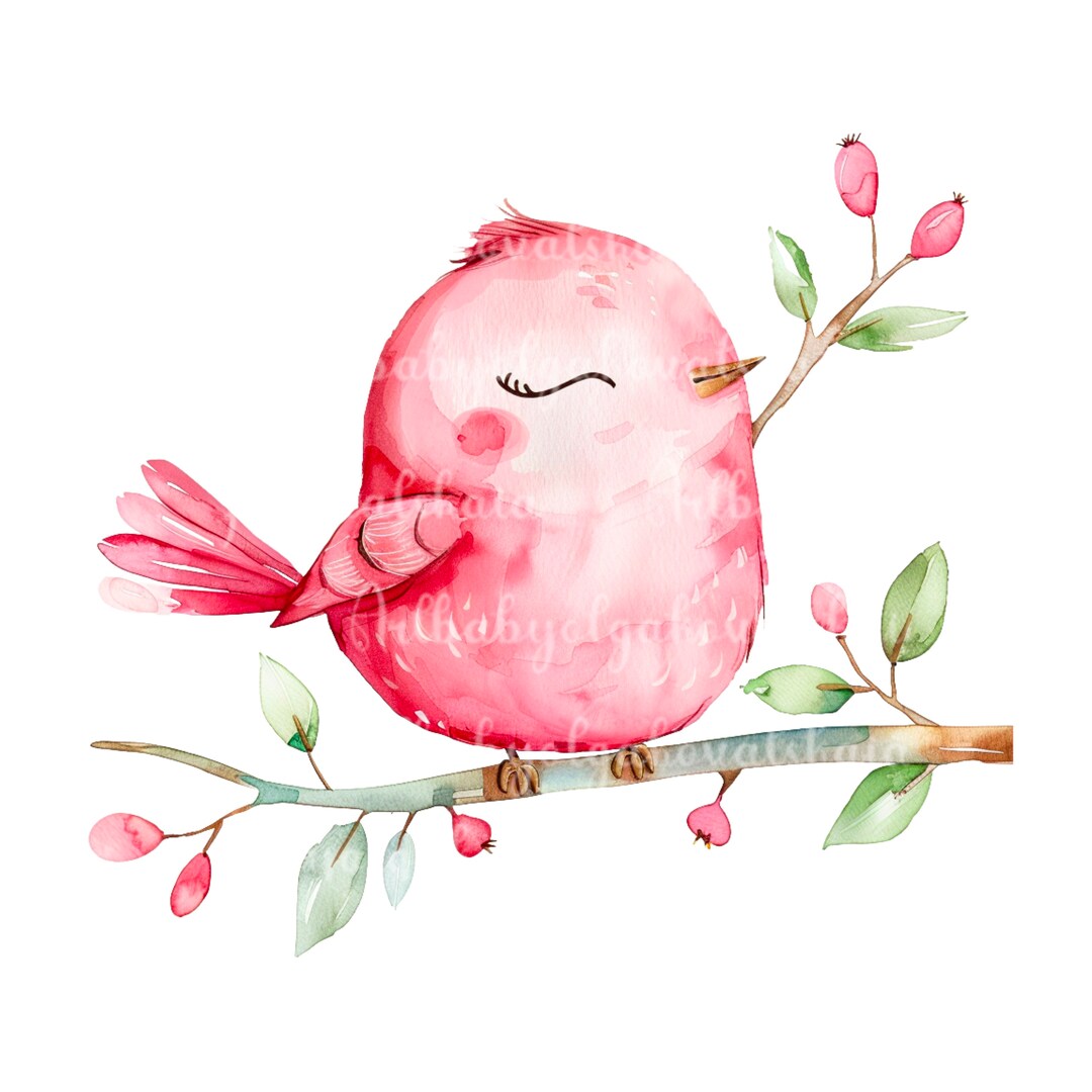 Watercolor Bird Clipart, Pink Bird PNG, Digital Download - Etsy