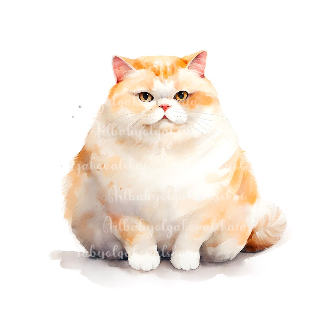 Watercolor Cat PNG, Cute Cat Clipart, Digital Download - Etsy