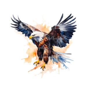 Eagle Clipart, Watercolor Eagle PNG, Digital Download - Etsy