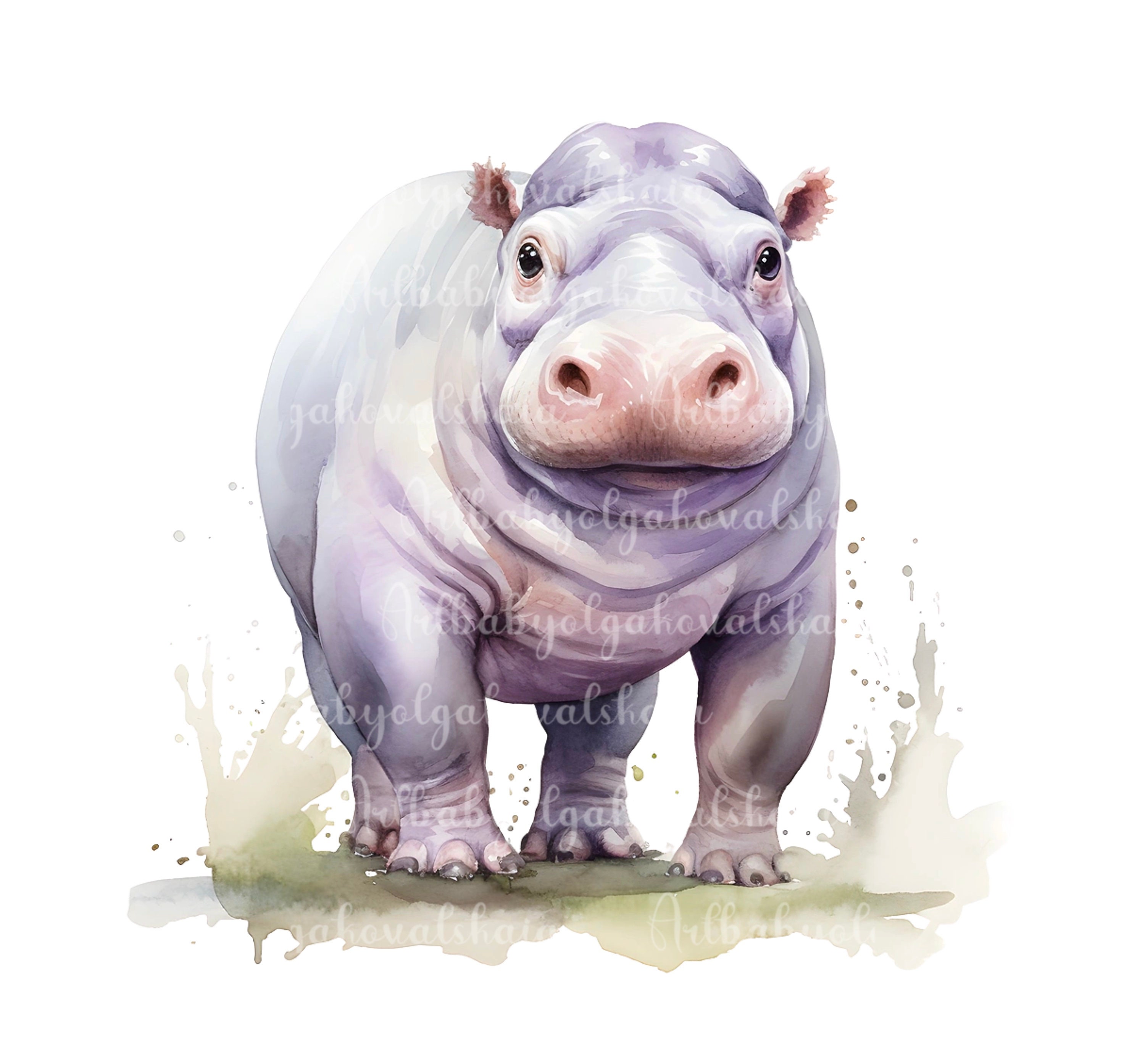 Watercolor Hippopotamus Clipart, Cute Hippopotamus PNG, Digital ...