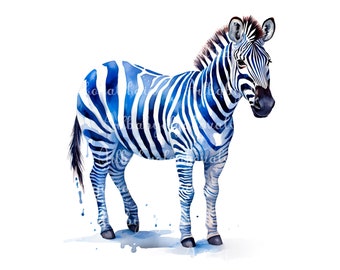 Zebra Clipart, Watercolor Zebra PNG, Digital Download - Etsy