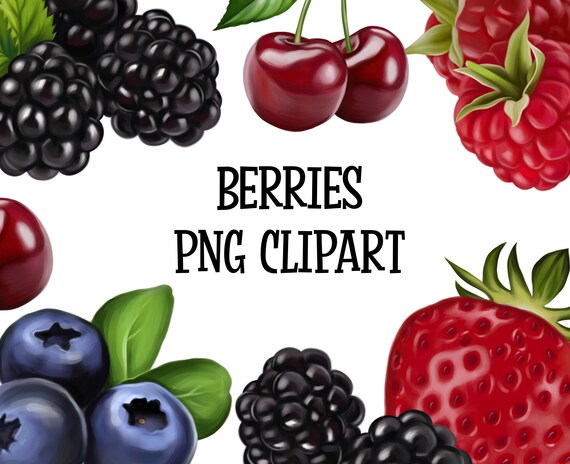 Berries Clipart Berries PNG Digital Download - Etsy
