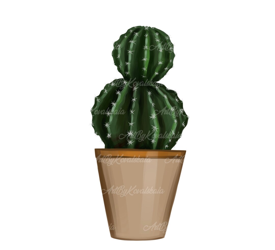 Potted Cactus PNG, Houseplant Clipart (digital Download) - Etsy