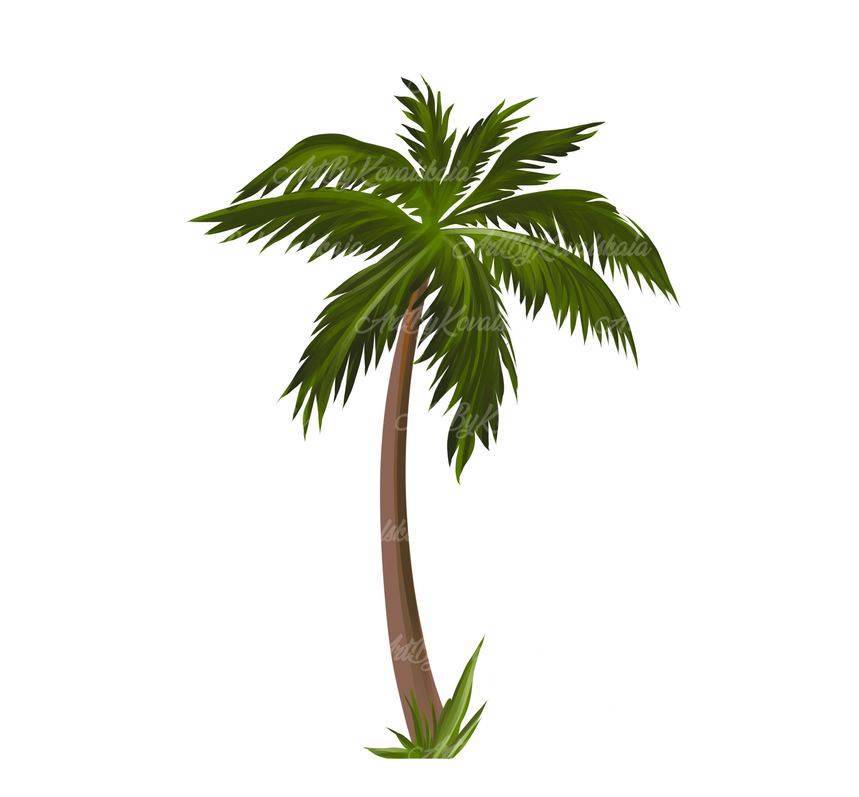 Palm Tree Png