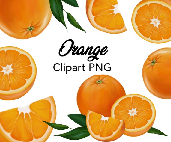 Orange PNG Oranges Clipart Digital Download - Etsy