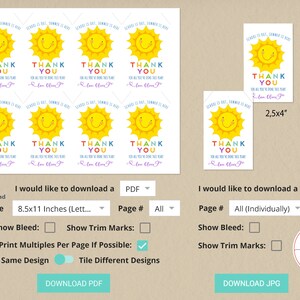 Editable Thank You Tag Sun Teacher Appreciation Gift Tag Teacher ...
