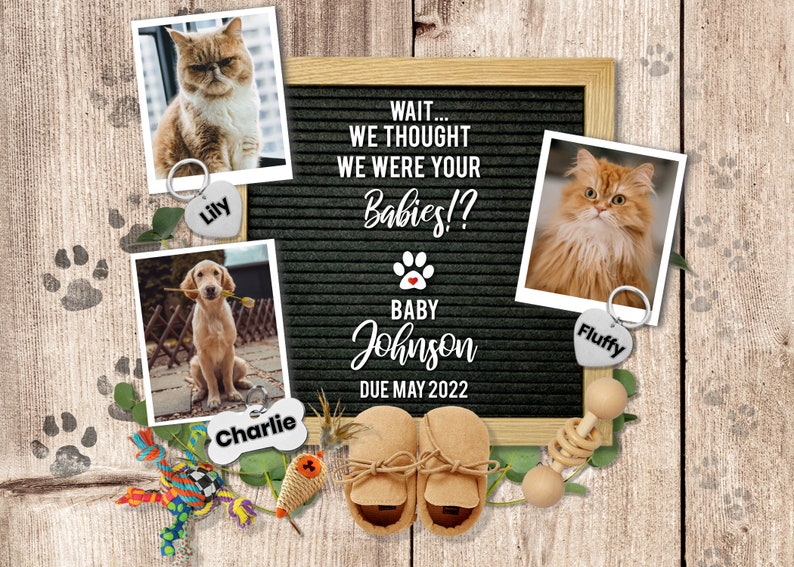 Editable Funny Digital Pregnancy Announcement for Social Media, Cats ...
