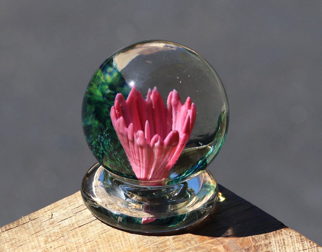 Zimmerman Glass Paperweight Crocus Flower - Etsy