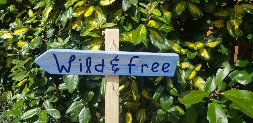 Set of 4 Festival Themed Signs | Etsy UK