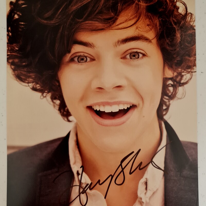 Harry Styles Merch - Etsy