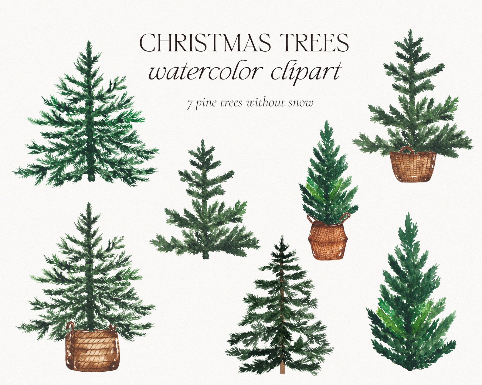 Watercolor Pine Tree Clipart Christmas Trees Clipart - Etsy