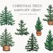 Watercolor Pine Tree Clipart, Christmas Trees Clipart, Watercolor Snowy ...