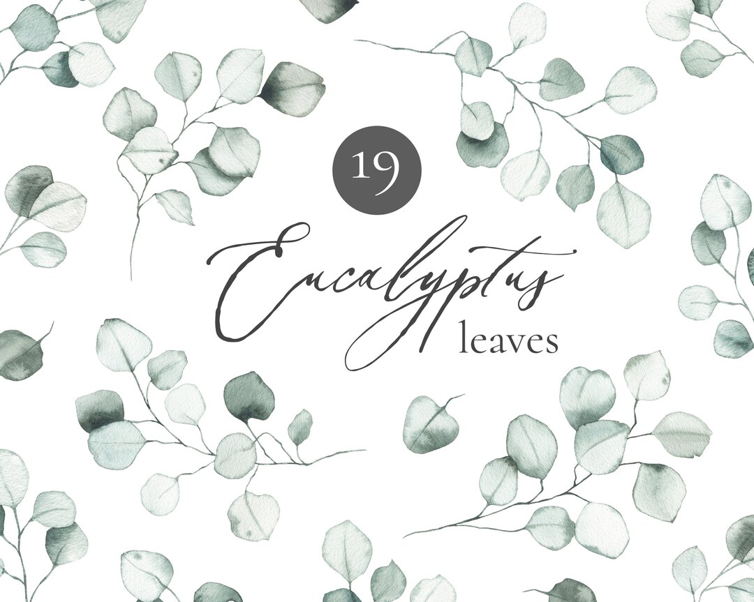 Watercolor Eucalyptus Tropical Green Leaves Clipart. Collection of ...
