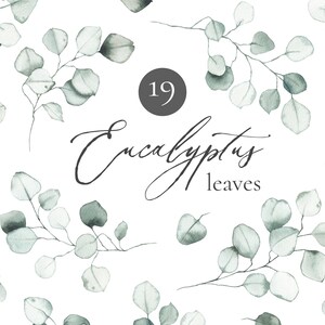 Watercolor Eucalyptus Tropical Green Leaves Clipart. Collection of ...