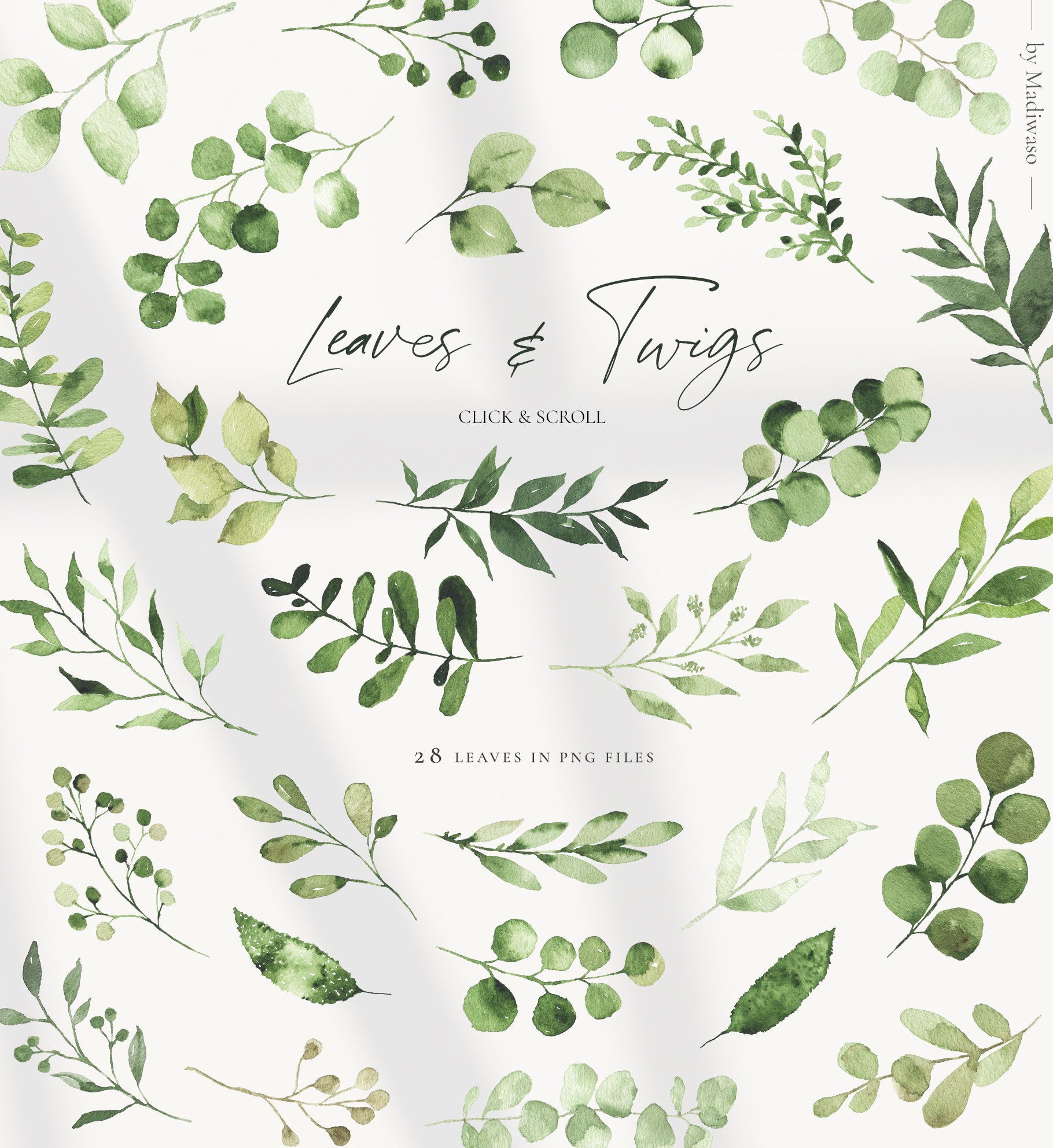 Spring Green Foliage Leaves Watercolor Clipart Greenery - Etsy