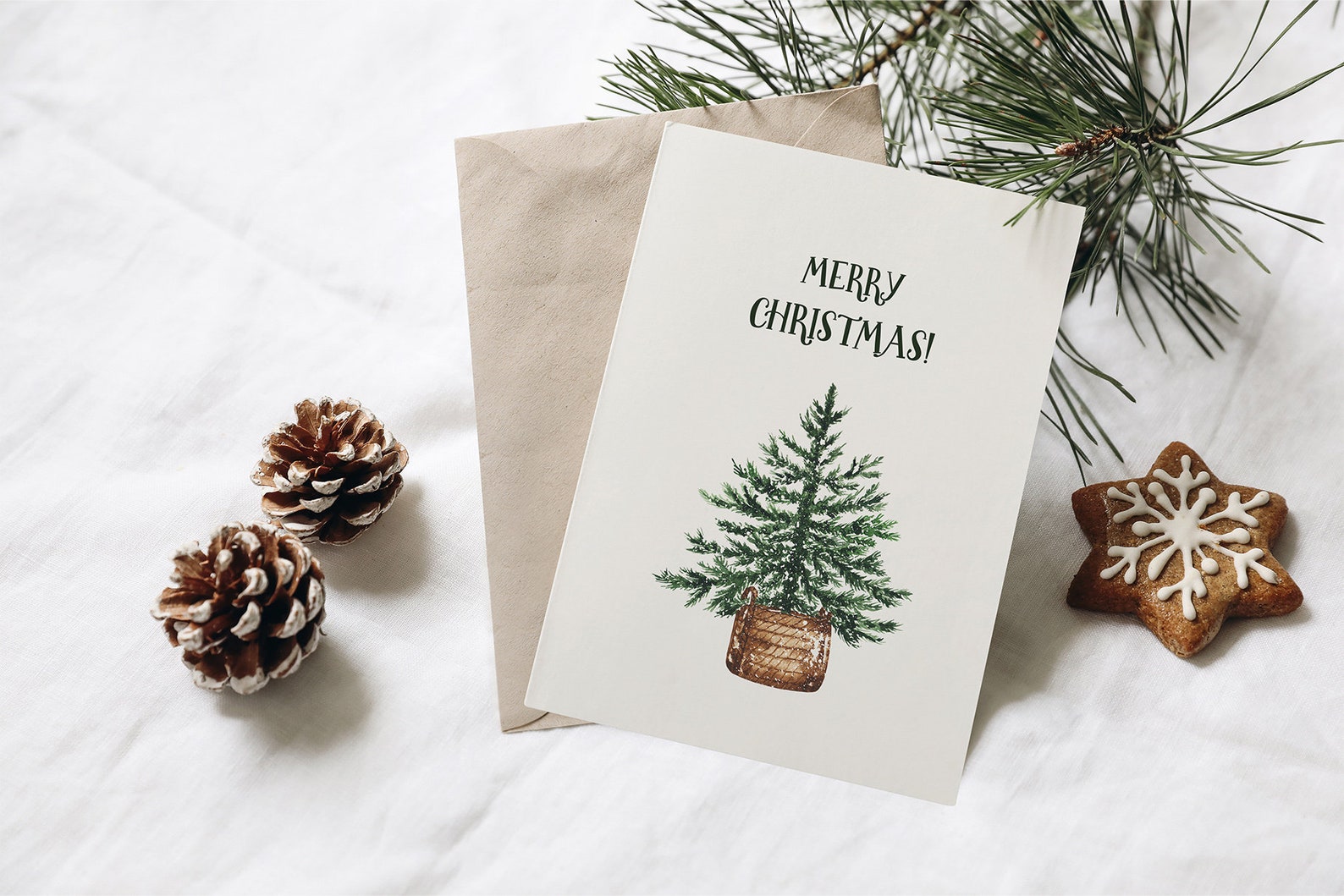 Watercolor Pine Tree Clipart Christmas Trees Clipart - Etsy