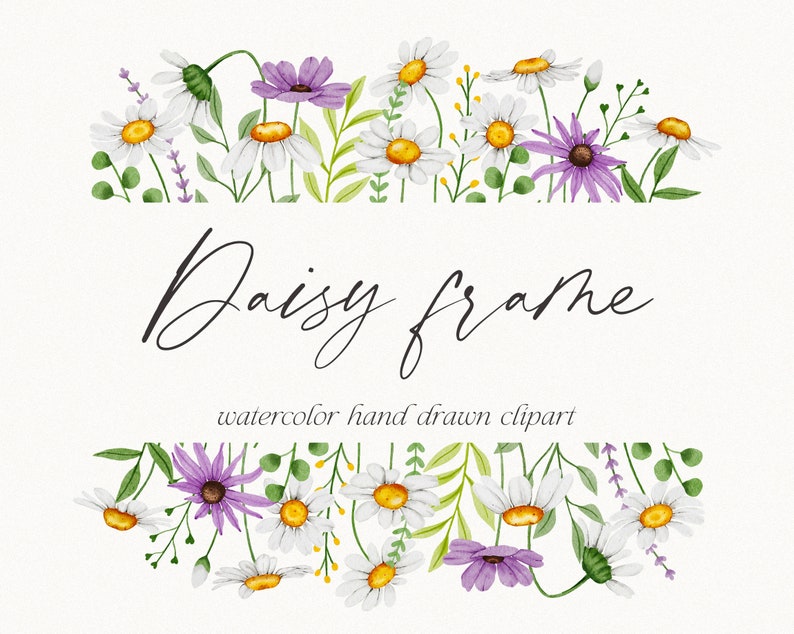 Daisy Watercolor White and Purple Frame Clipart Wildflower - Etsy