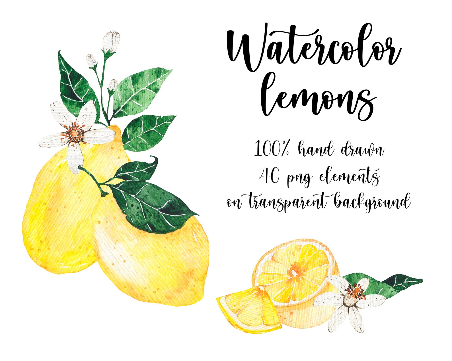 Watercolor Lemon Clipart Citrus Clipart Lemon Fruit PNG - Etsy Canada