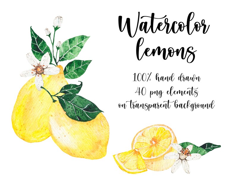 Watercolor Lemon Clipart Citrus Clipart Lemon Fruit PNG - Etsy