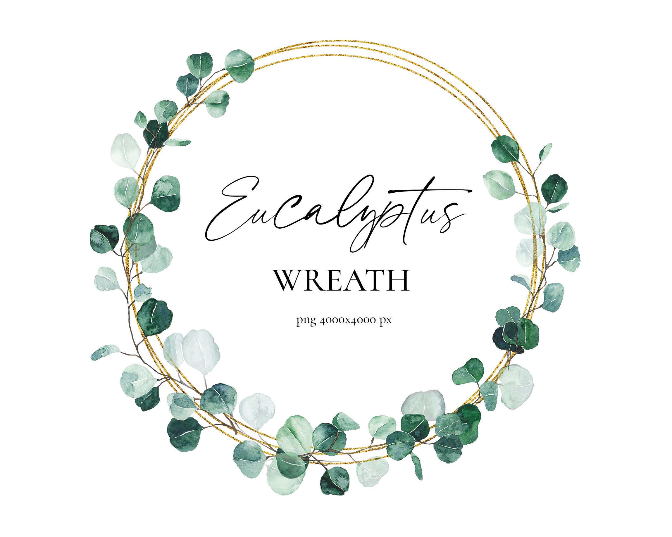 Eucalyptus Wreath Clipart Watercolor Eucalyptus Frame Baby - Etsy