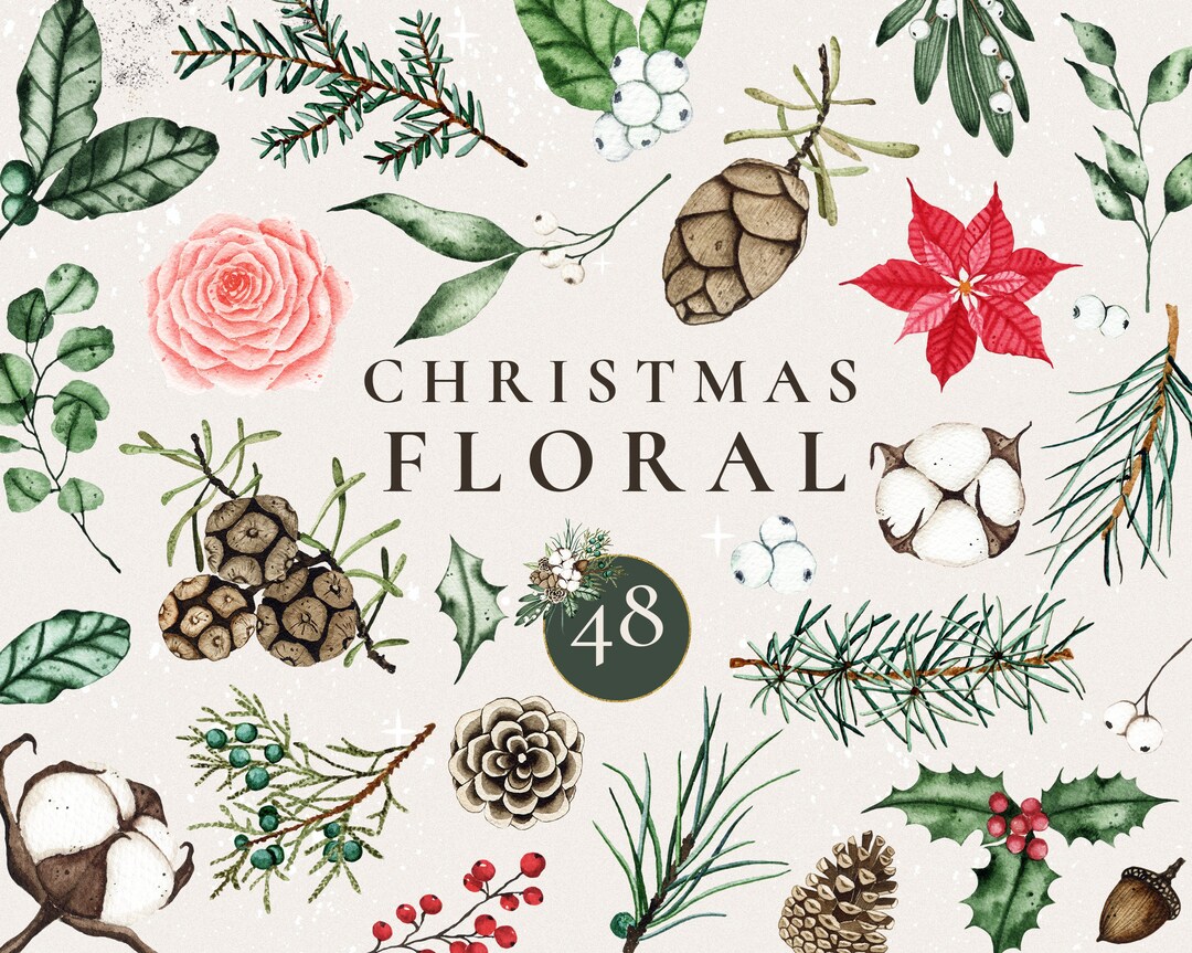 Watercolor Christmas Floral Clipart, Christmas Flowers Clipart, Winter ...