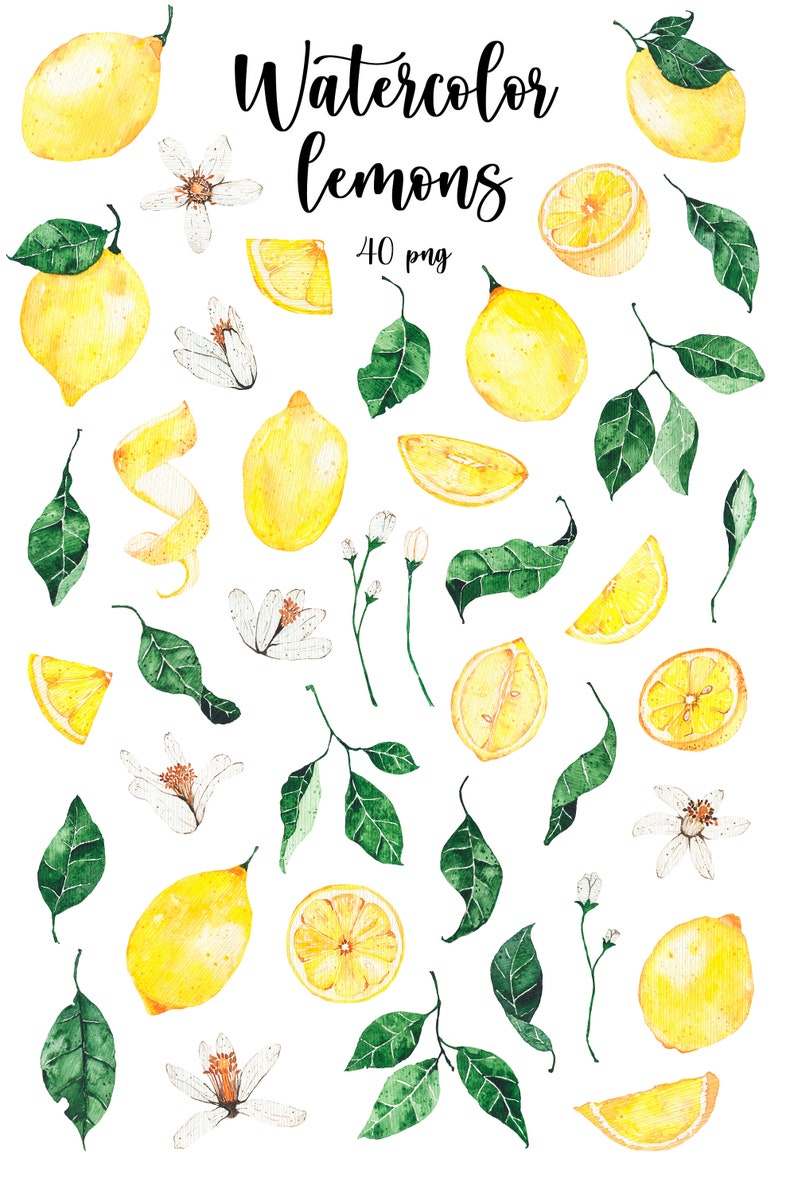 Watercolor Lemon Clipart Citrus Clipart Lemon Fruit PNG - Etsy