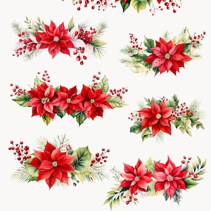 Watercolor Poinsettia Clipart, Watercolor Poinsettia Flowers, Christmas ...