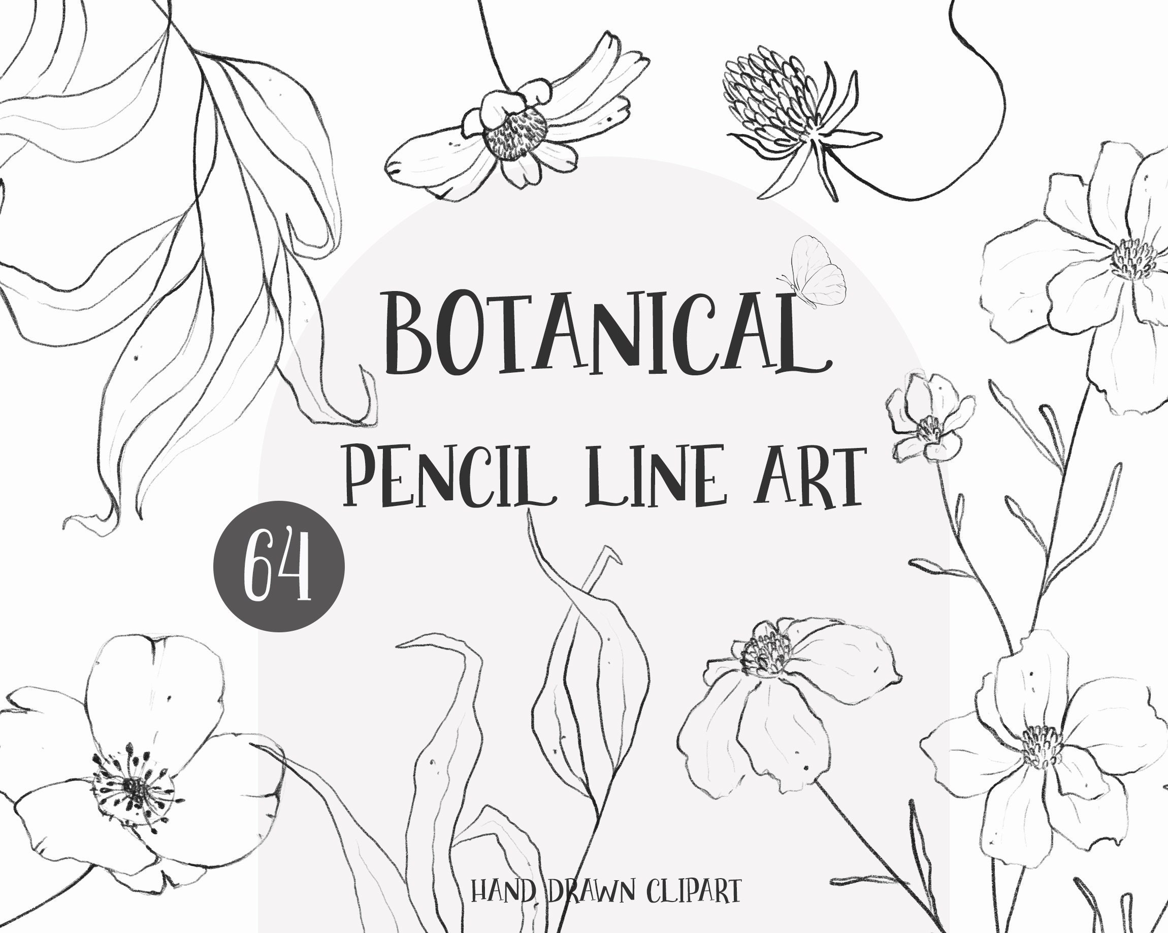 Botanical Pencil Line Art Clipart Wildflowers Fine Art PNG - Etsy
