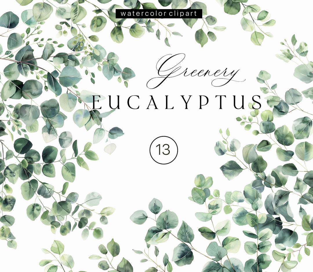 Eucalyptus Watercolor Clipart - Watercolor Greenery Clipart - Green ...