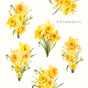 Watercolor Daffodil Clipart - Floral Yellow Daffodil Bouquets ...