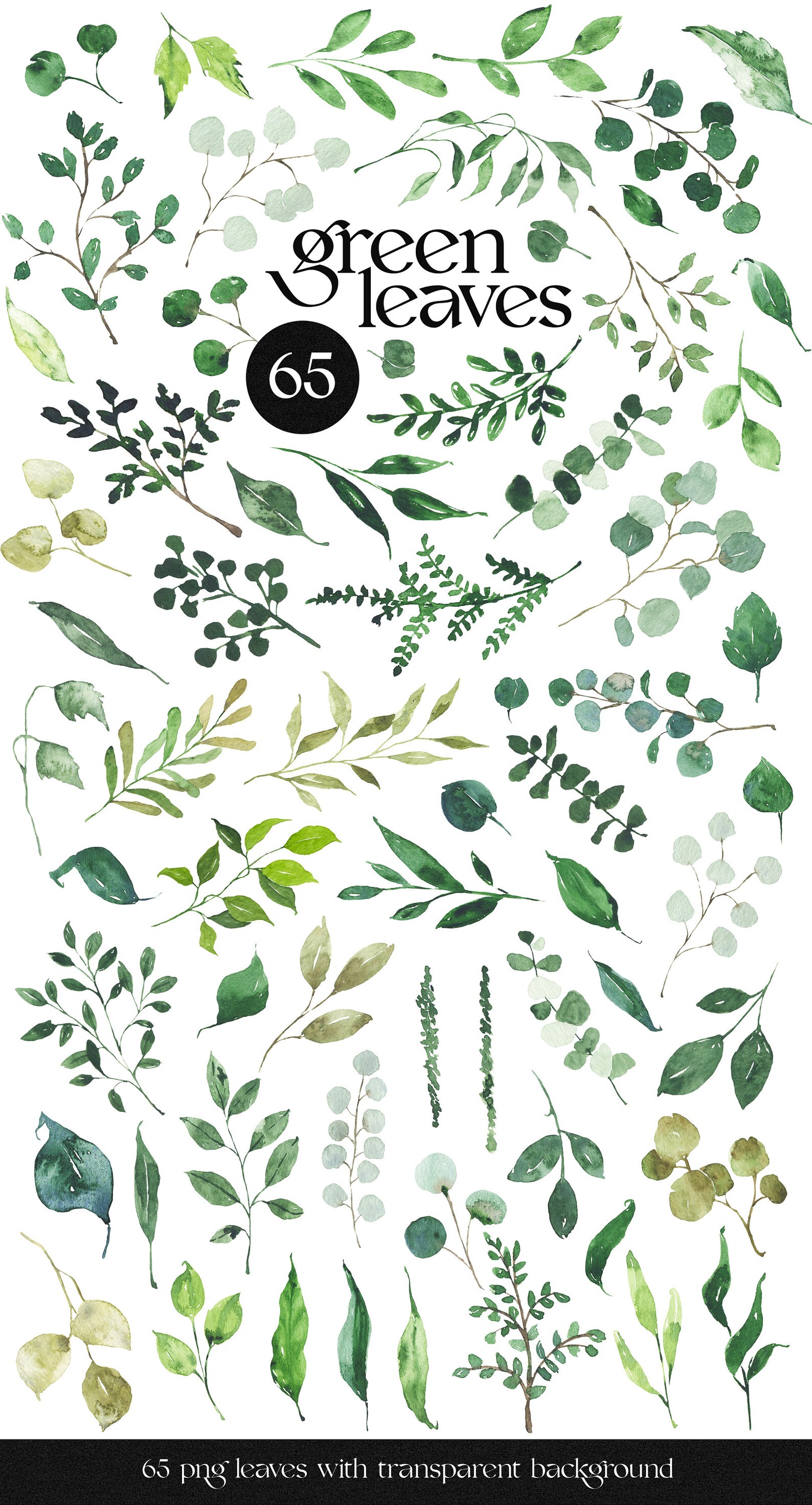 Watercolor Greenery Leaves Clipart Watercolor Leaf Clipart - Etsy