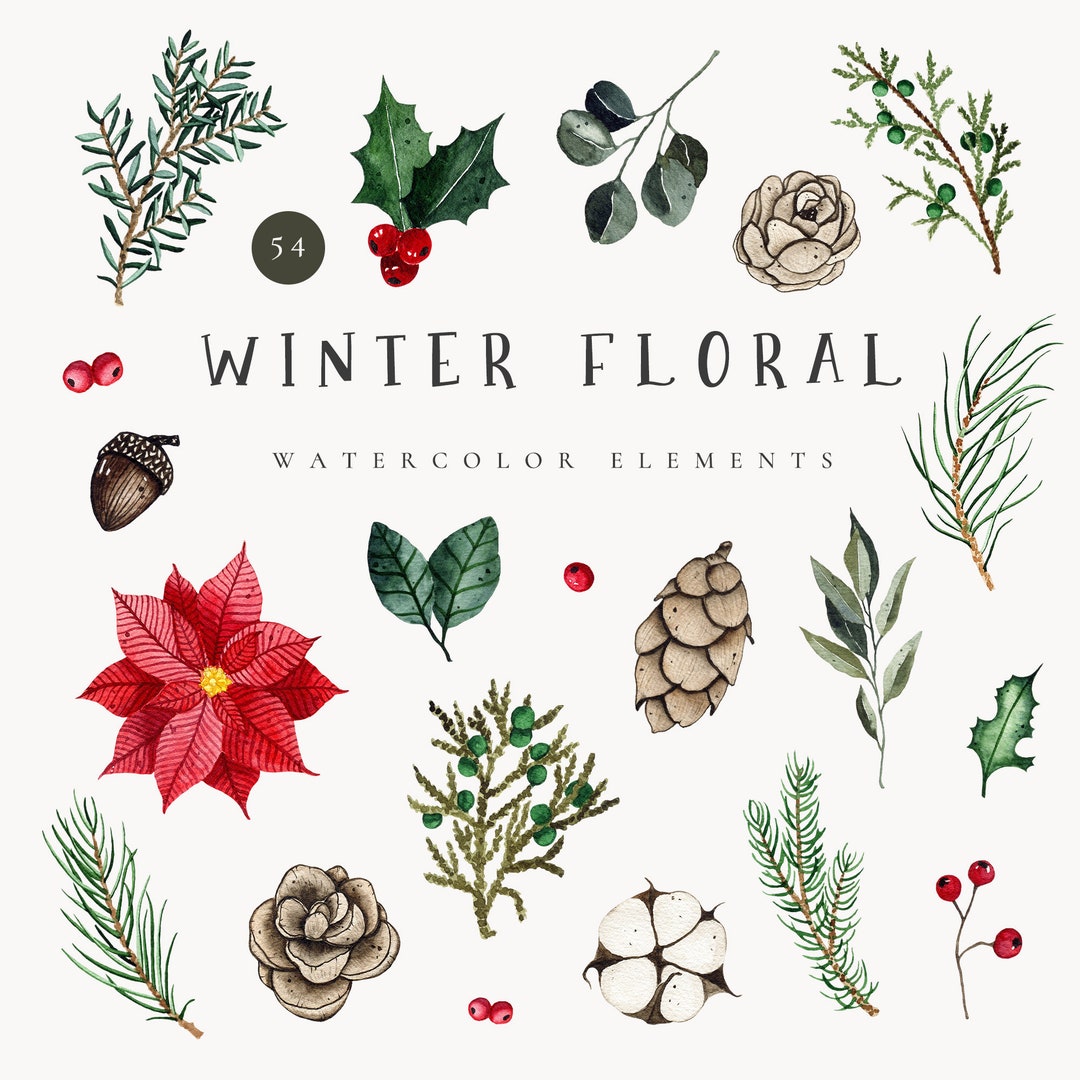 Winter Floral Clipart, Watercolor Winter Greenery, Christmas Watercolor ...
