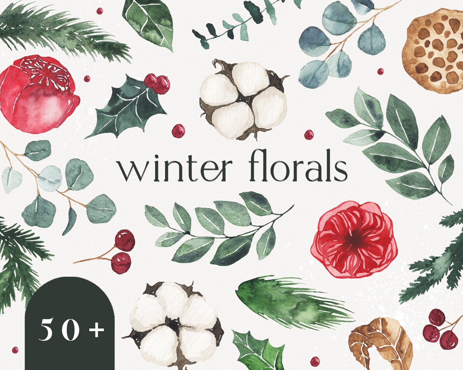 Watercolor Floral Clipart Christmas Floral Clipart Winter | Etsy