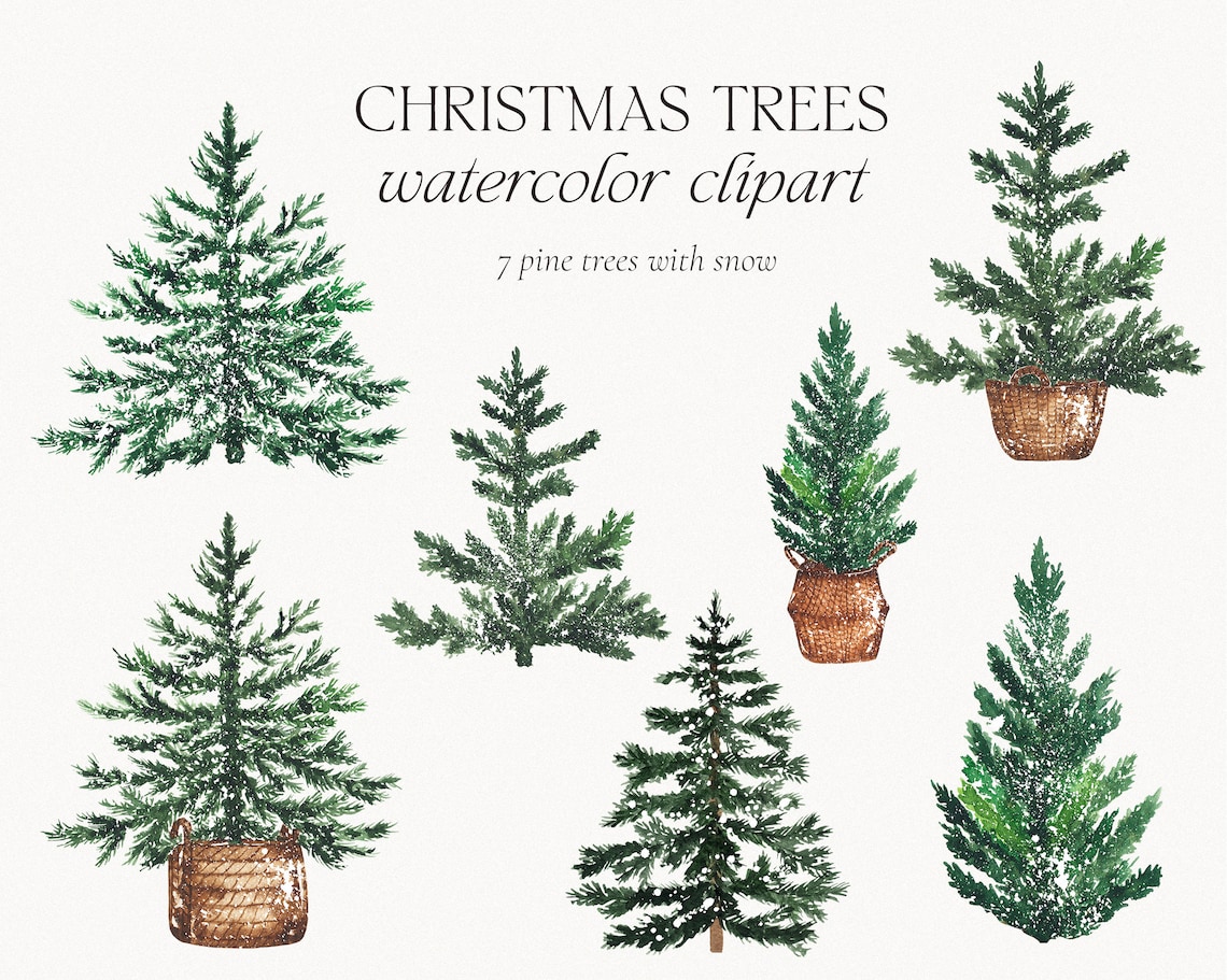 Watercolor Pine Tree Clipart Christmas Trees Clipart - Etsy