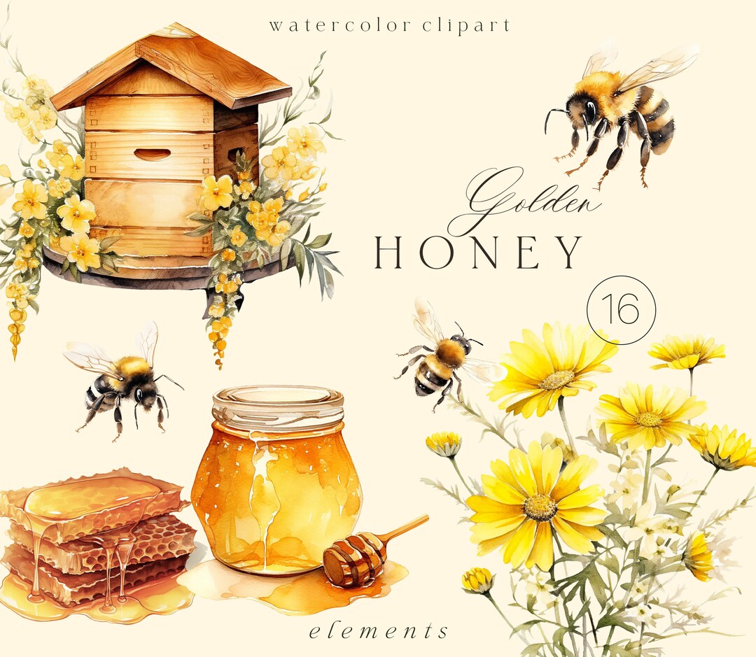Watercolor Honey Bee Clipart - Watercolor Honeycomb Clipart - Beehive ...