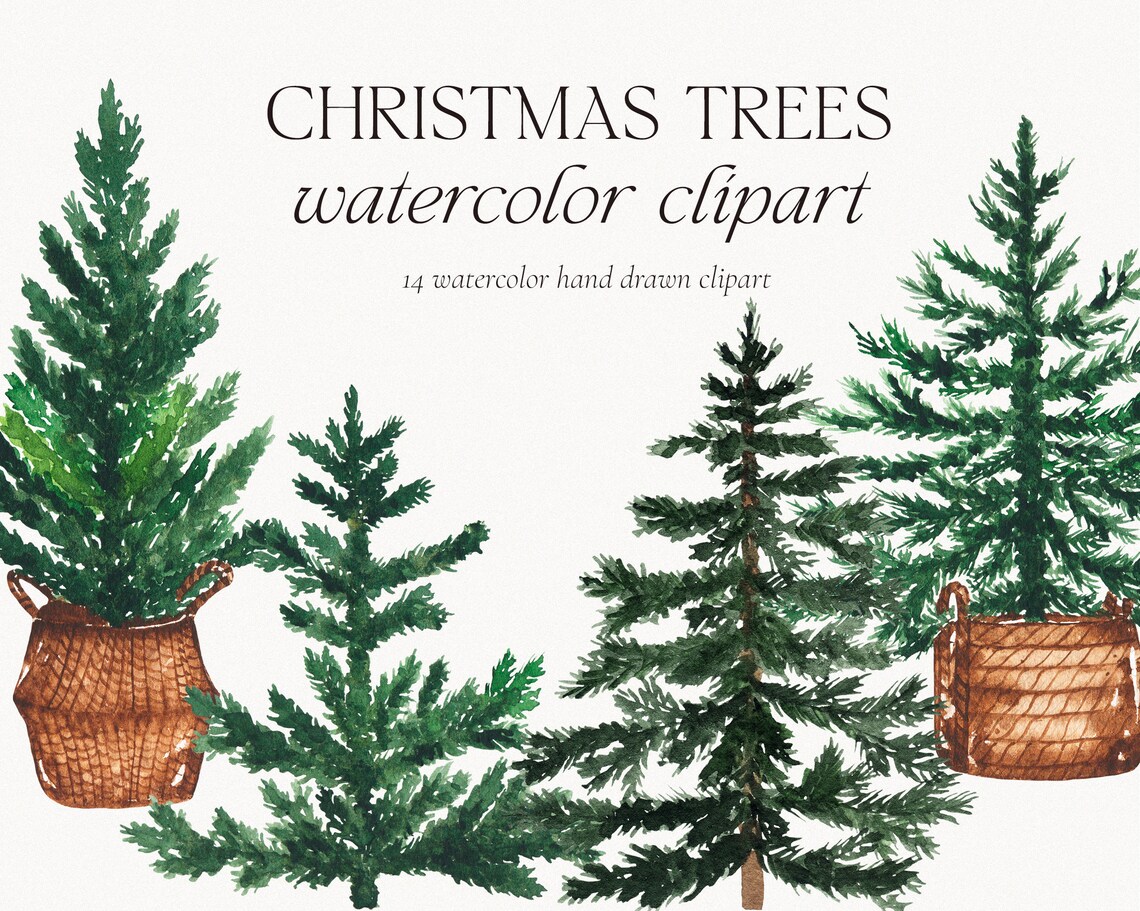 Watercolor Pine Tree Clipart Christmas Trees Clipart - Etsy