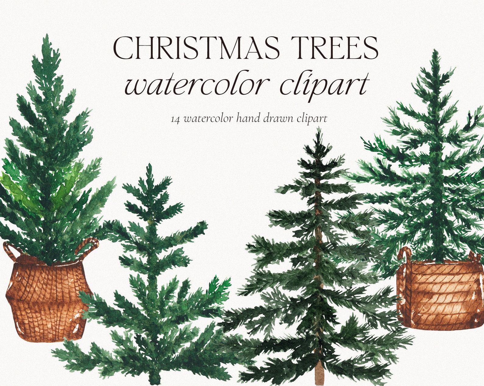 Watercolor Pine Tree Clipart Christmas Trees Clipart - Etsy