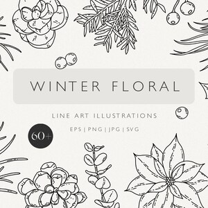 Winter Botanical Floral Line Art Clipart, Christmas Greenery Flowers ...