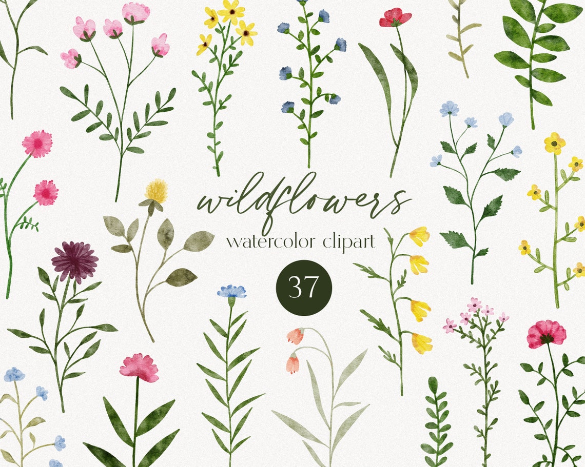 Watercolor Wildflower Clipart Watercolor Floral Meadow Wild - Etsy