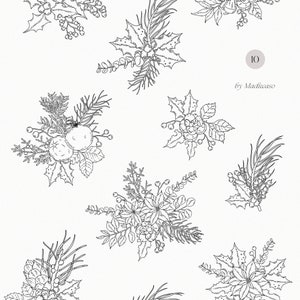 Winter Botanical Floral Line Art Clipart, Christmas Greenery Flowers ...