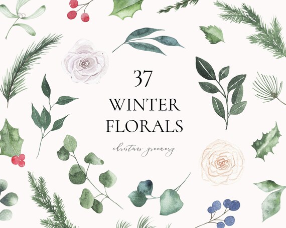 Watercolor Winter Florals Clipart Christmas Greenery Flowers | Etsy