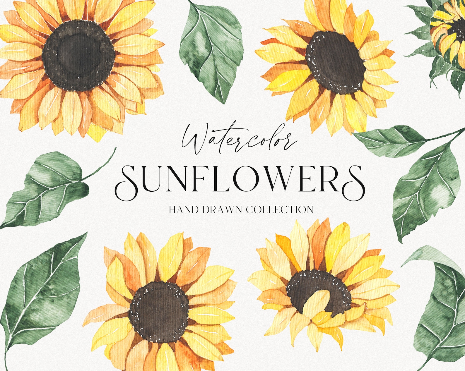 Watercolor Sunflower Clipart Wedding Invitation Rustic | Etsy
