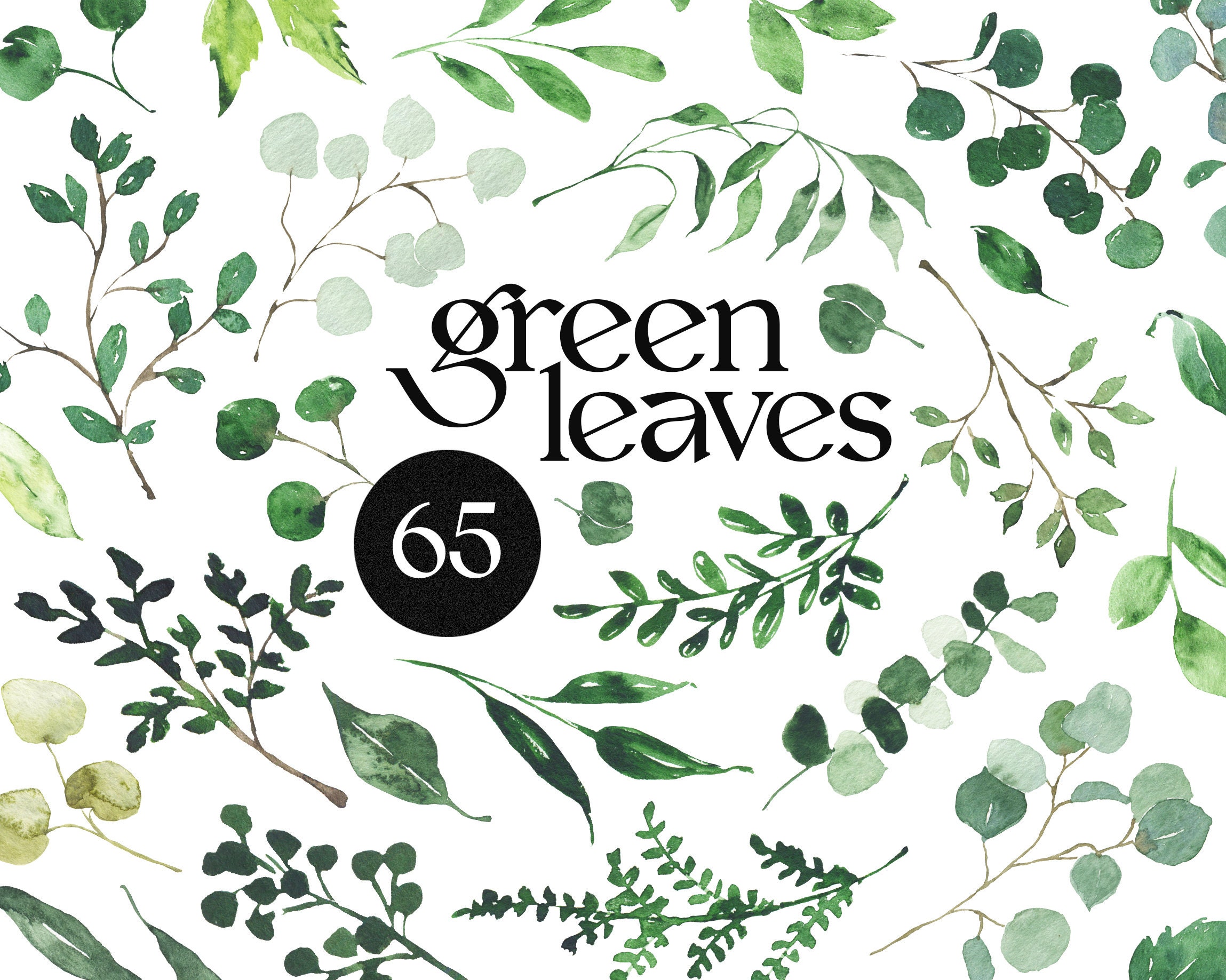 Watercolor Greenery Leaves Clipart Watercolor Leaf Clipart - Etsy