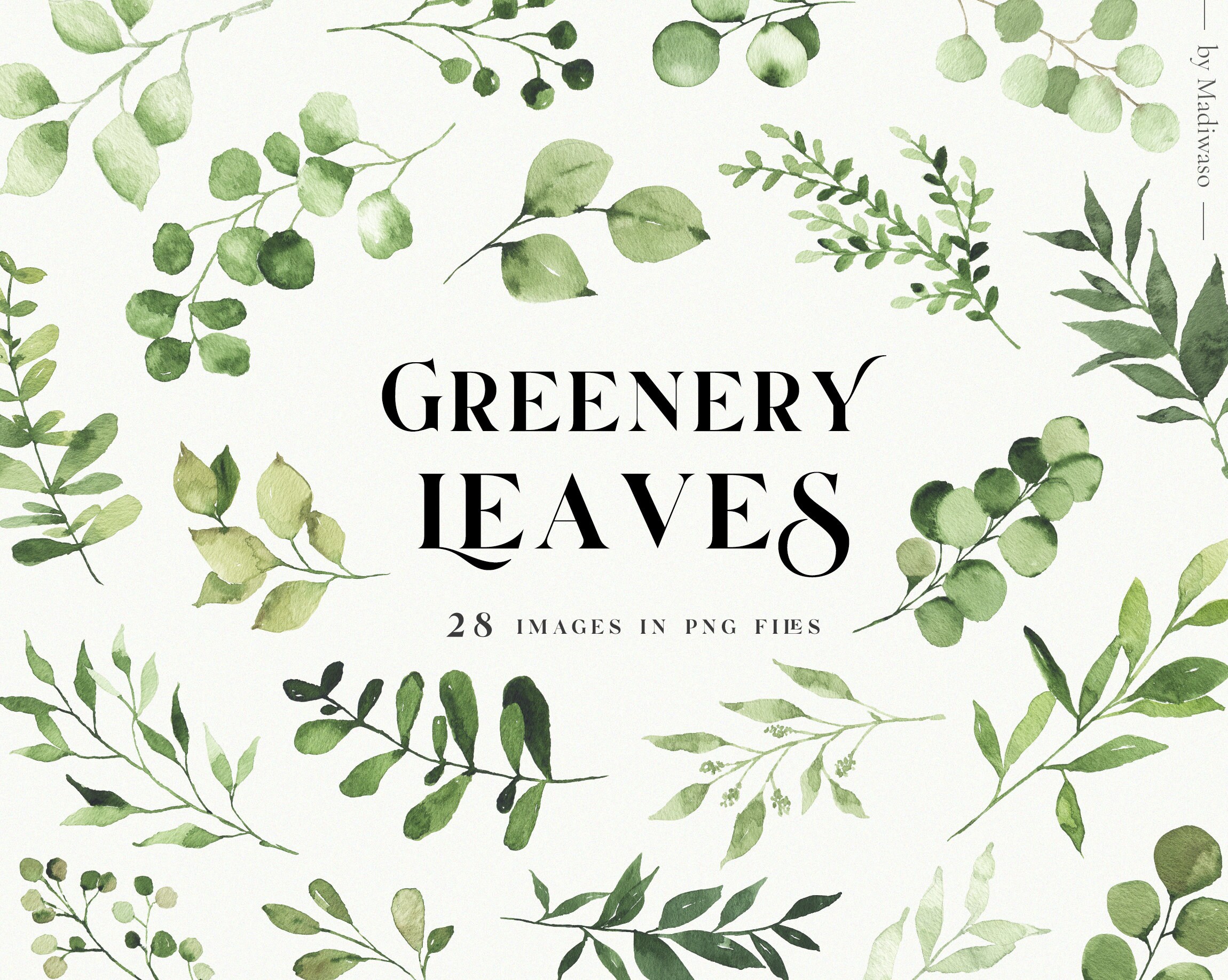 Scrapbooking Watercolor eucalyptus branches and leaves clipart ...