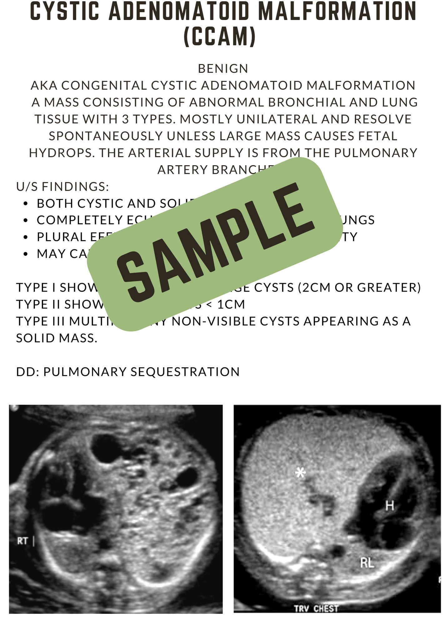 ARDMS Obstetrics Ultrasound Review Pt 2: Obgyn Board Exam Study Notes ...