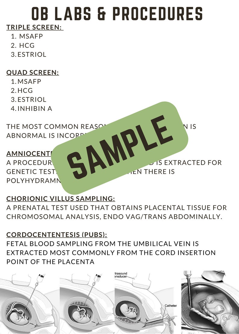 ARDMS Obstetrics Ultrasound Review Pt 2: Obgyn Board Exam Study Notes ...